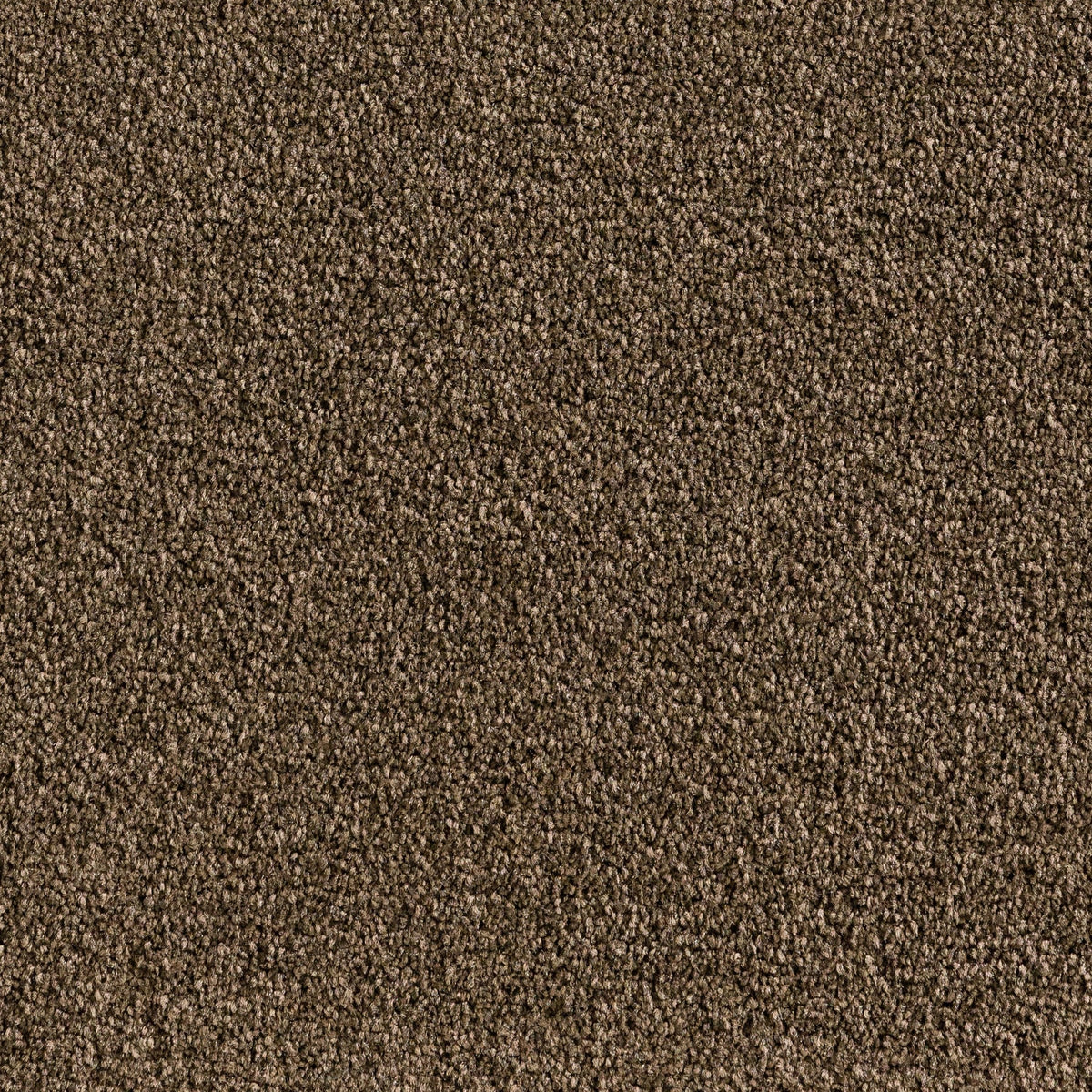 Inner Urban - Solution Dyed Nylon – Flooring Direct